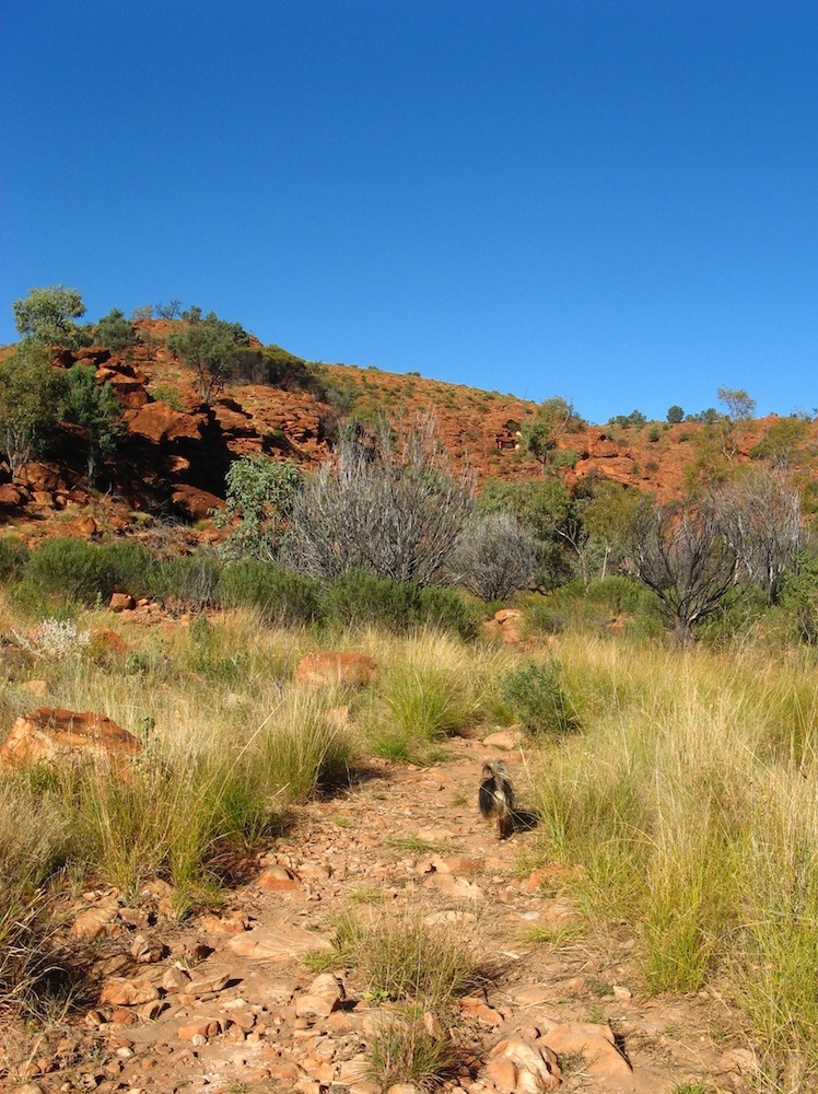 25 photos de l'outback australien | AustralieQC.ca